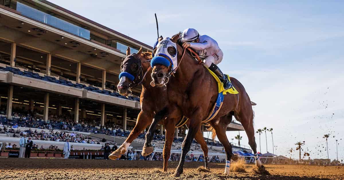 Del Mar Picks & Tips | Expert Handicapping