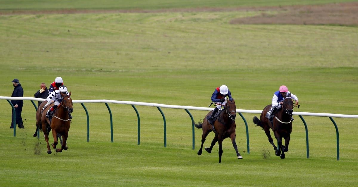 Alfred G. Vanderbilt (Saratoga) - Predictions, Odds & Picks