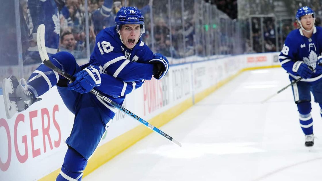 Panthers vs Maple Leafs Predictions, Odds, Picks