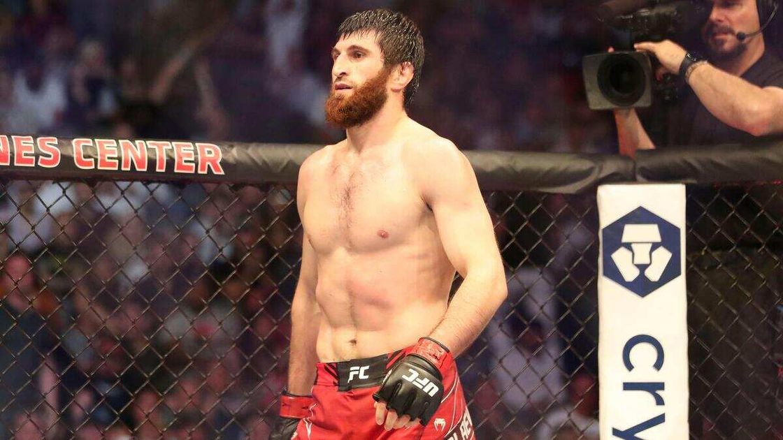 UFC Fight Night 320: Ankalaev vs. Pereira 2 - Odds, Predictions & Picks